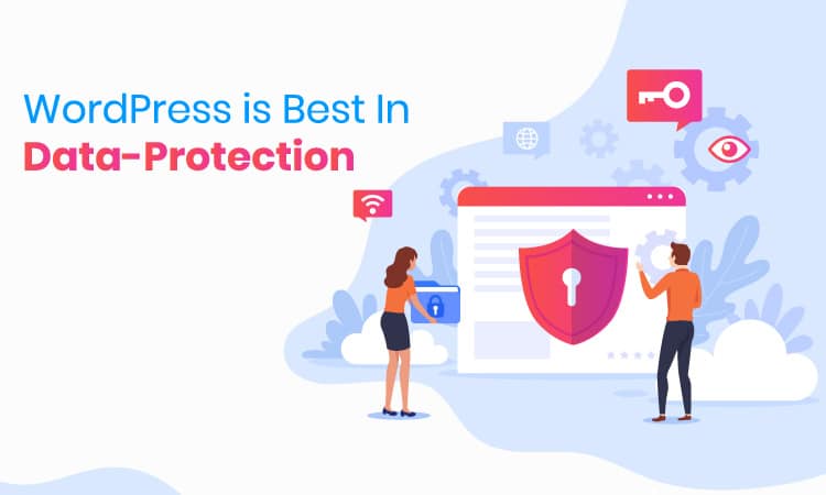 8 Reasons To Use WordPress for Your Website - TeamExio